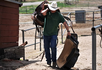 Bachelor of Science Degree - Agricultural Studies: Integrated Ranch ...