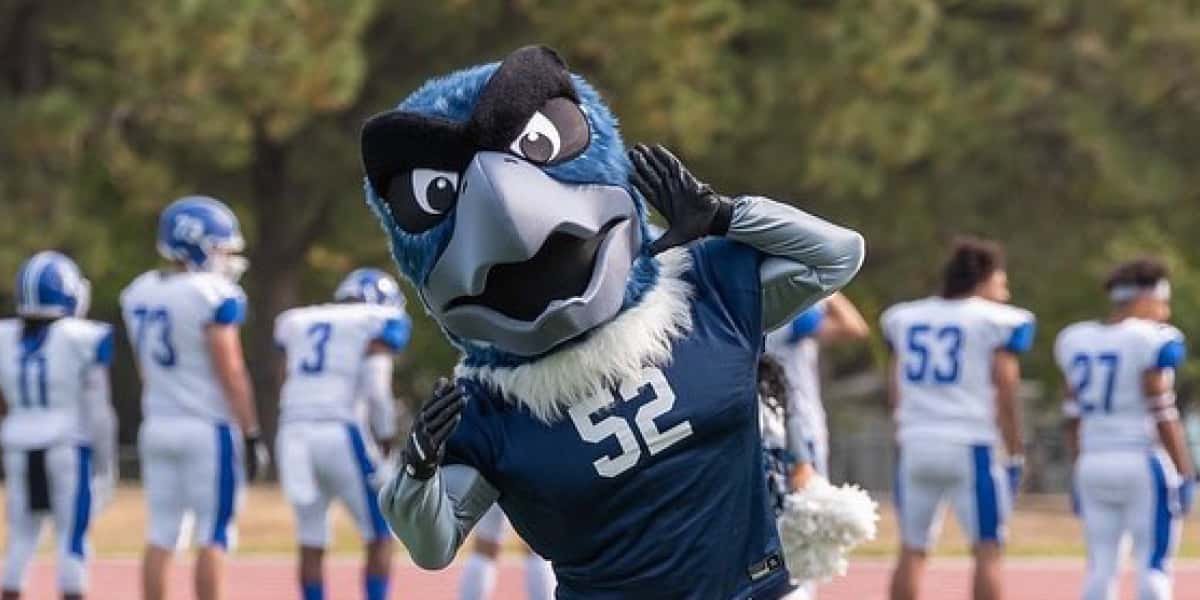 Athletics | Dickinson State University